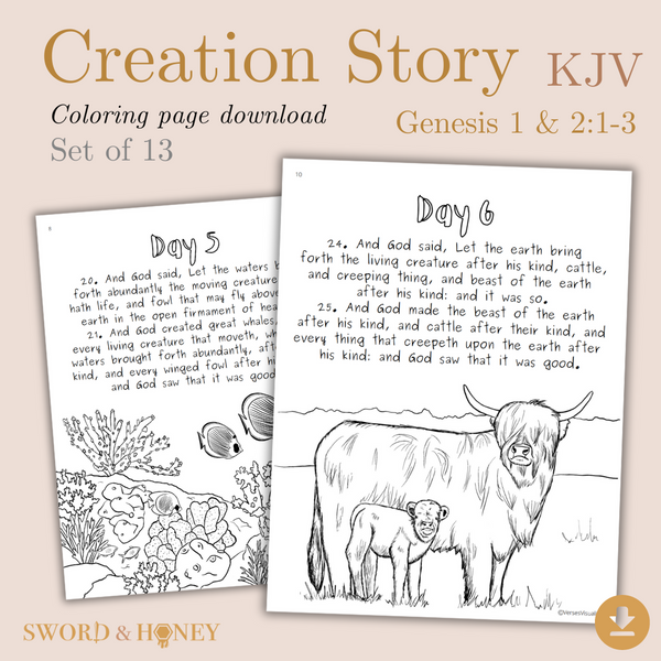 Creation Story KJV Coloring Pages Digital Download – Sword and Honey